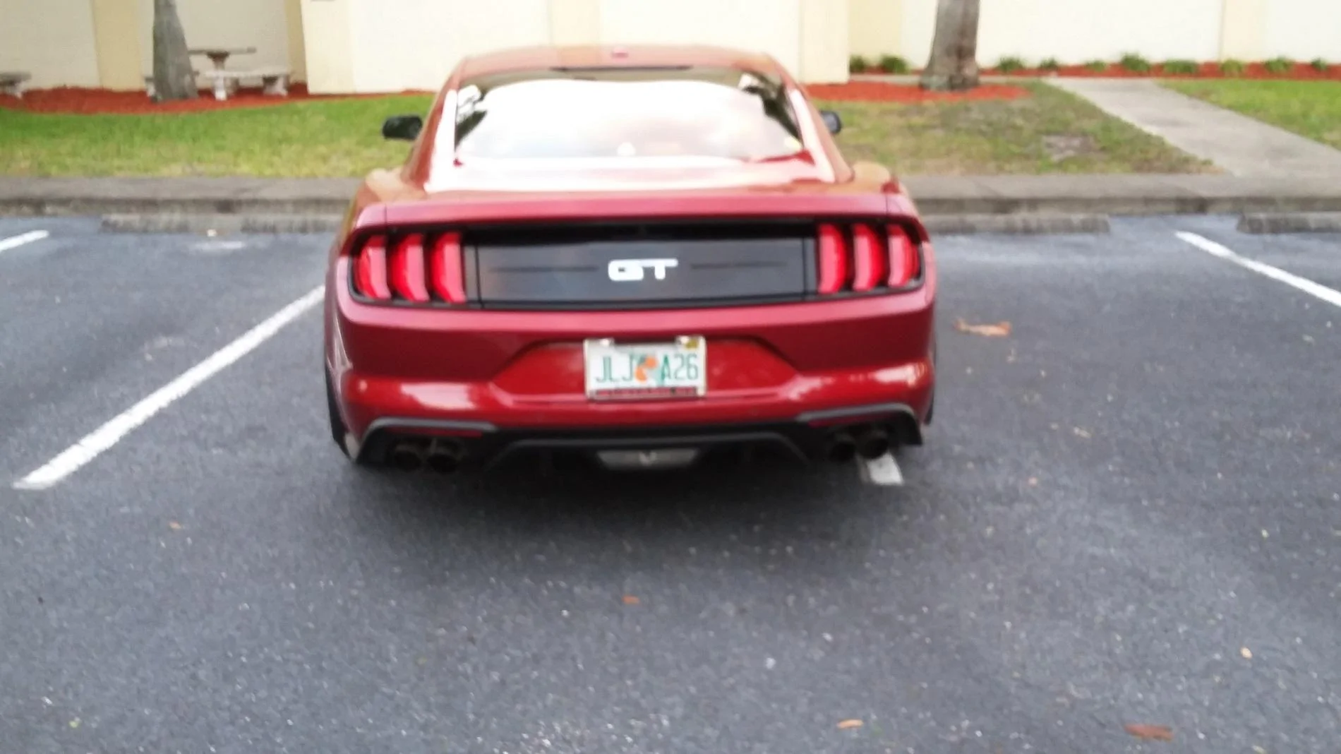 2018 Mustang GT, PP1,Auto | 2015+ S550 Mustang Forum (GT, EcoBoost ...