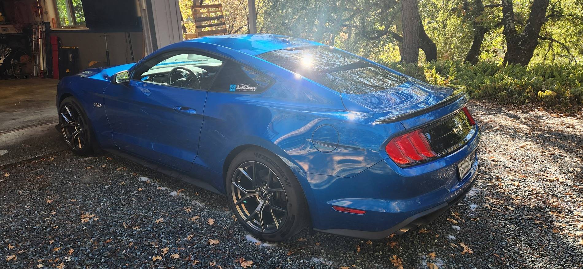 California - 2019 Mustang GT Premium Velocity Blue PP2 | 2015+ S550 ...