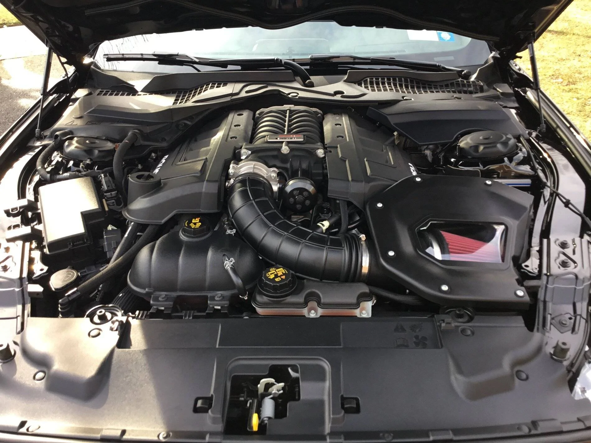 2019 Mustang GT Roush Supercharged, 2500 Miles. Modified to plant you ...
