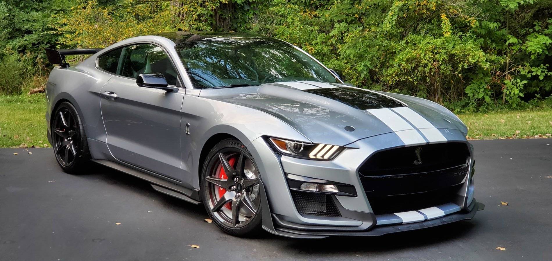 Please help! Looking for a picture of a silver mustang with white ...