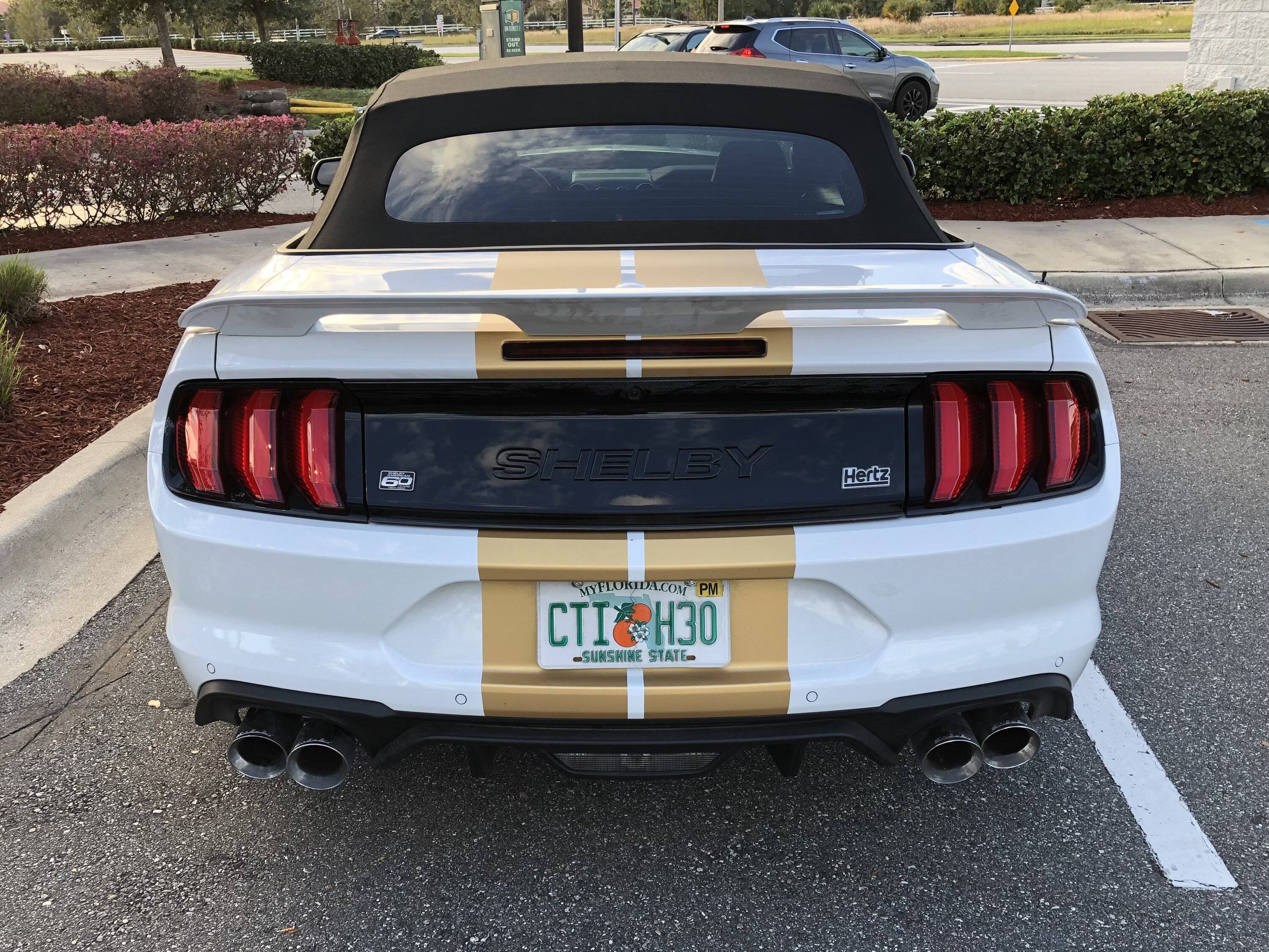 Gt-H convertible wing | 2015+ S550 Mustang Forum (GT, EcoBoost, GT350 ...