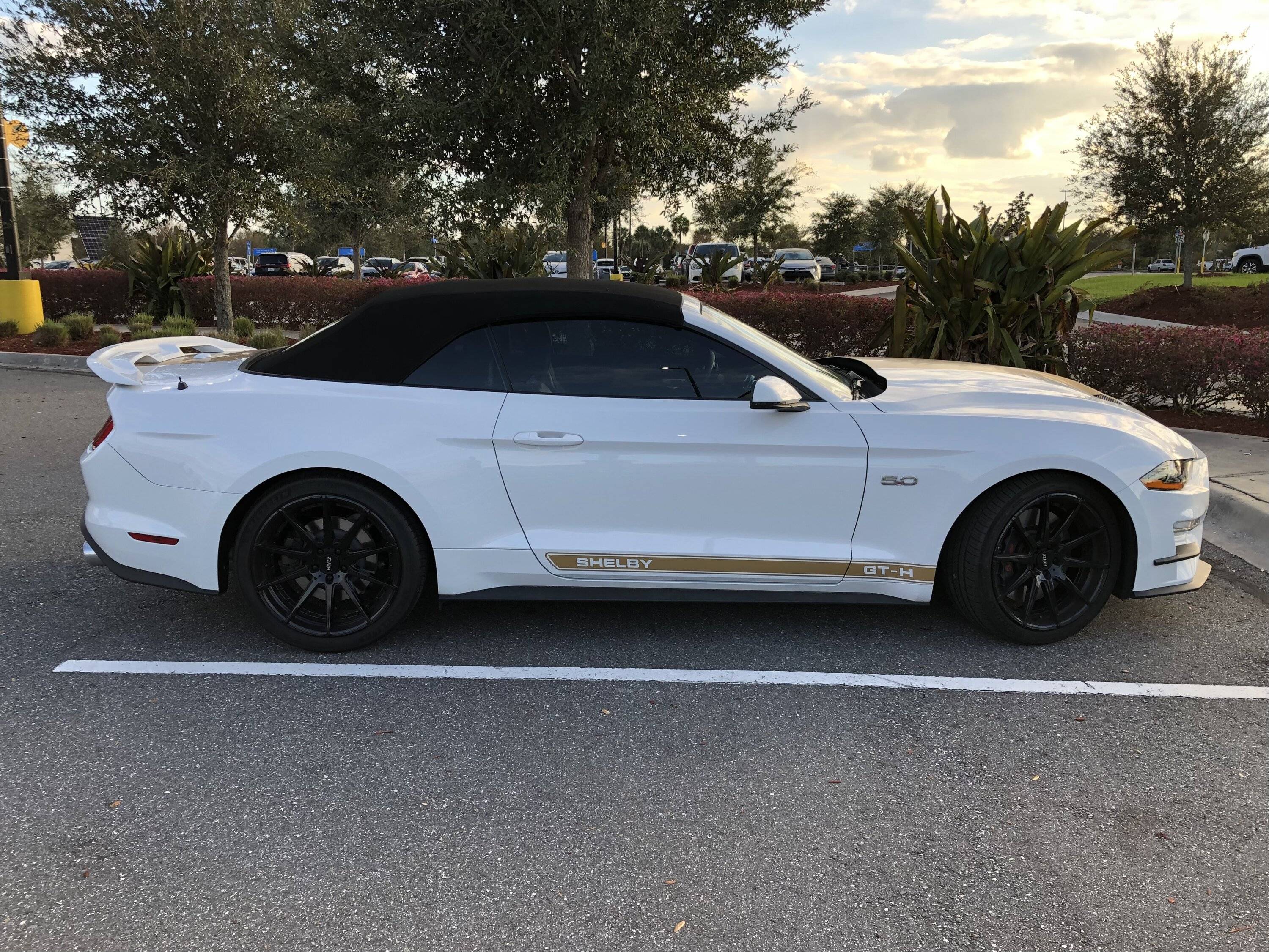 Gt-H convertible wing | 2015+ S550 Mustang Forum (GT, EcoBoost, GT350 ...