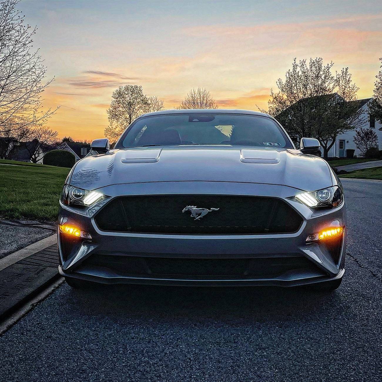 Custom License Plate Ideas | 2015+ S550 Mustang Forum (GT, EcoBoost ...