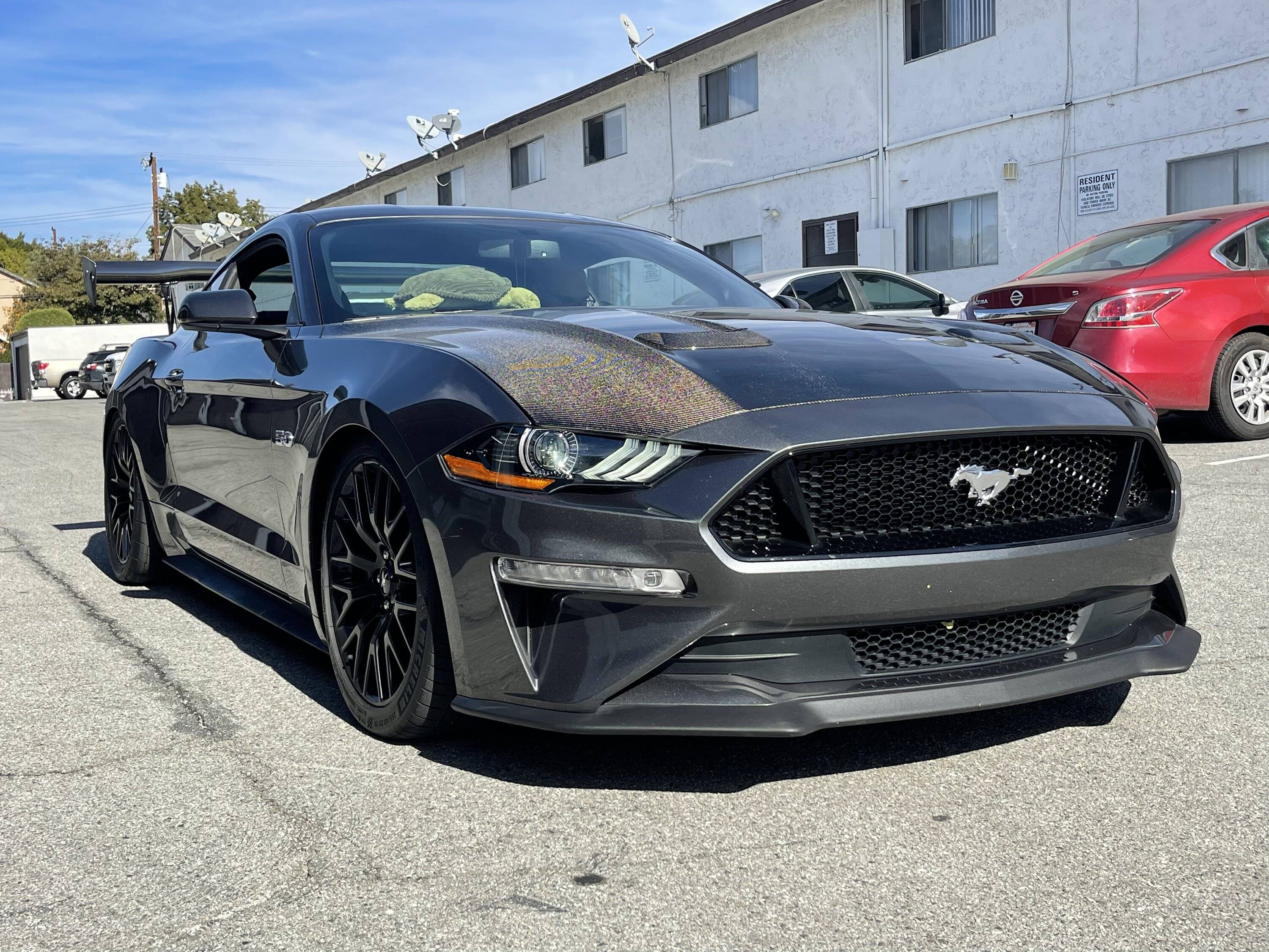 Mustang Gt Lateral G