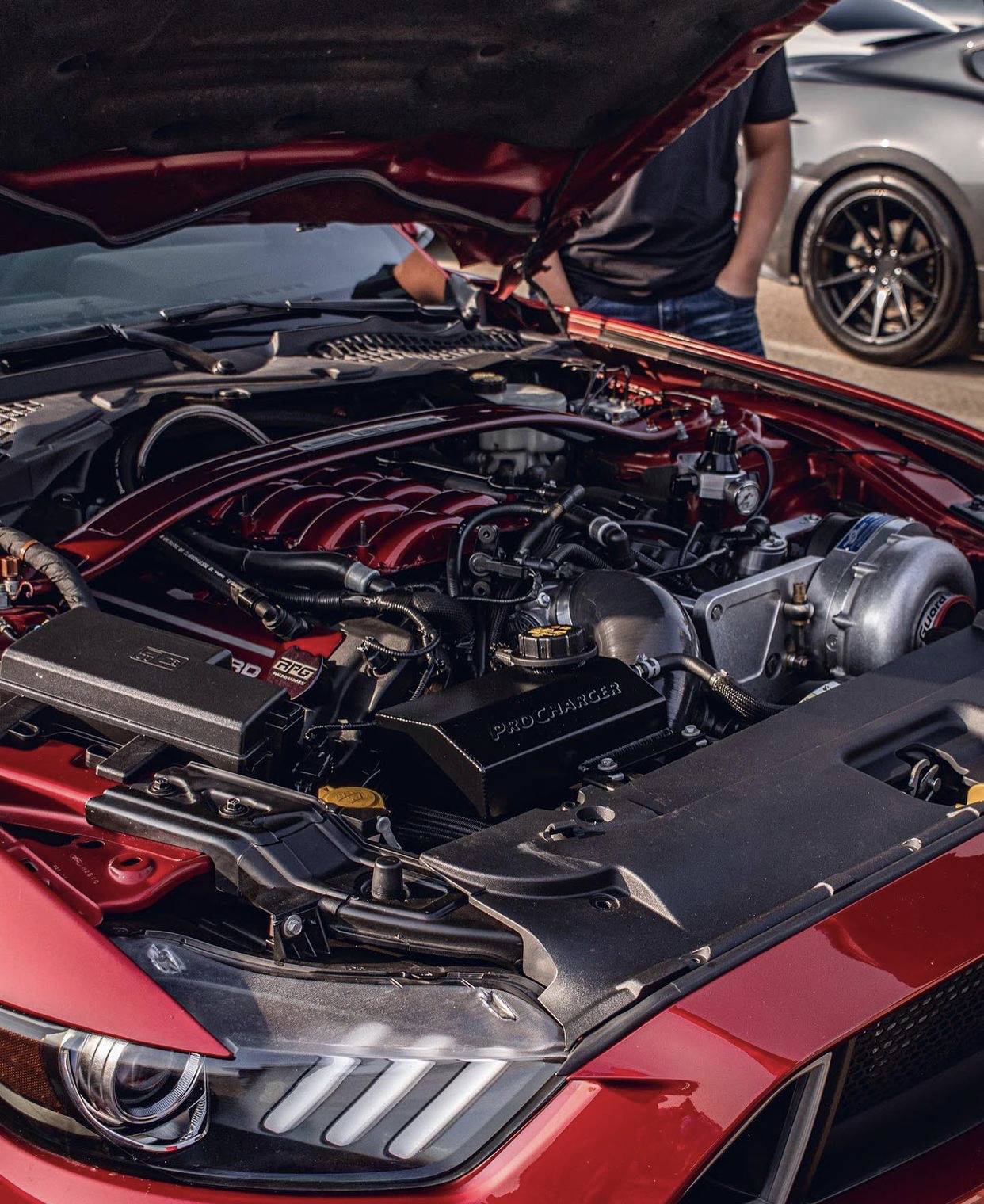 California - 2016 Built Motor Procharged Mustang GT | 2015+ S550 ...