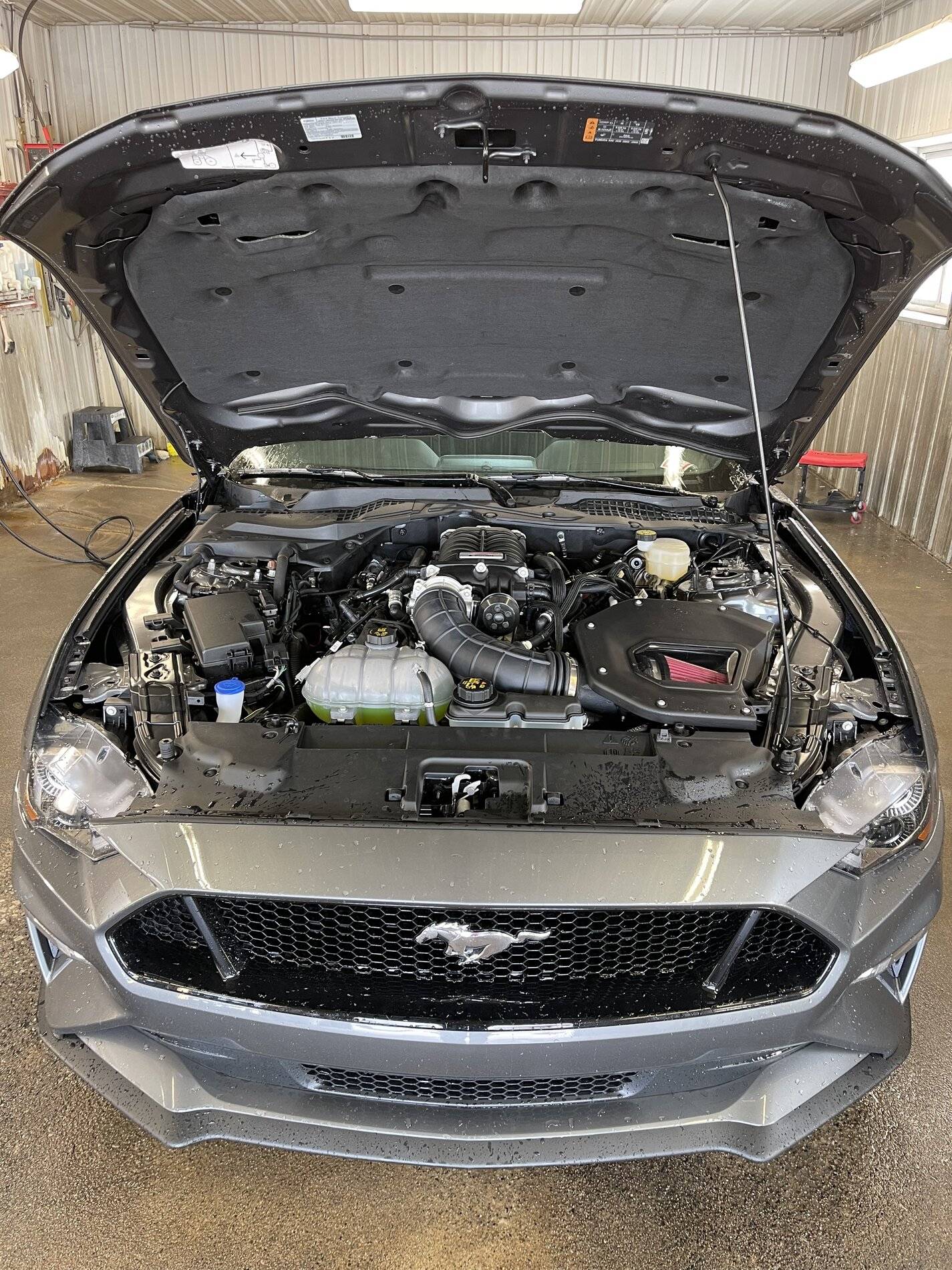 Roush supercharger kit installed! | 2015+ S550 Mustang Forum (GT ...