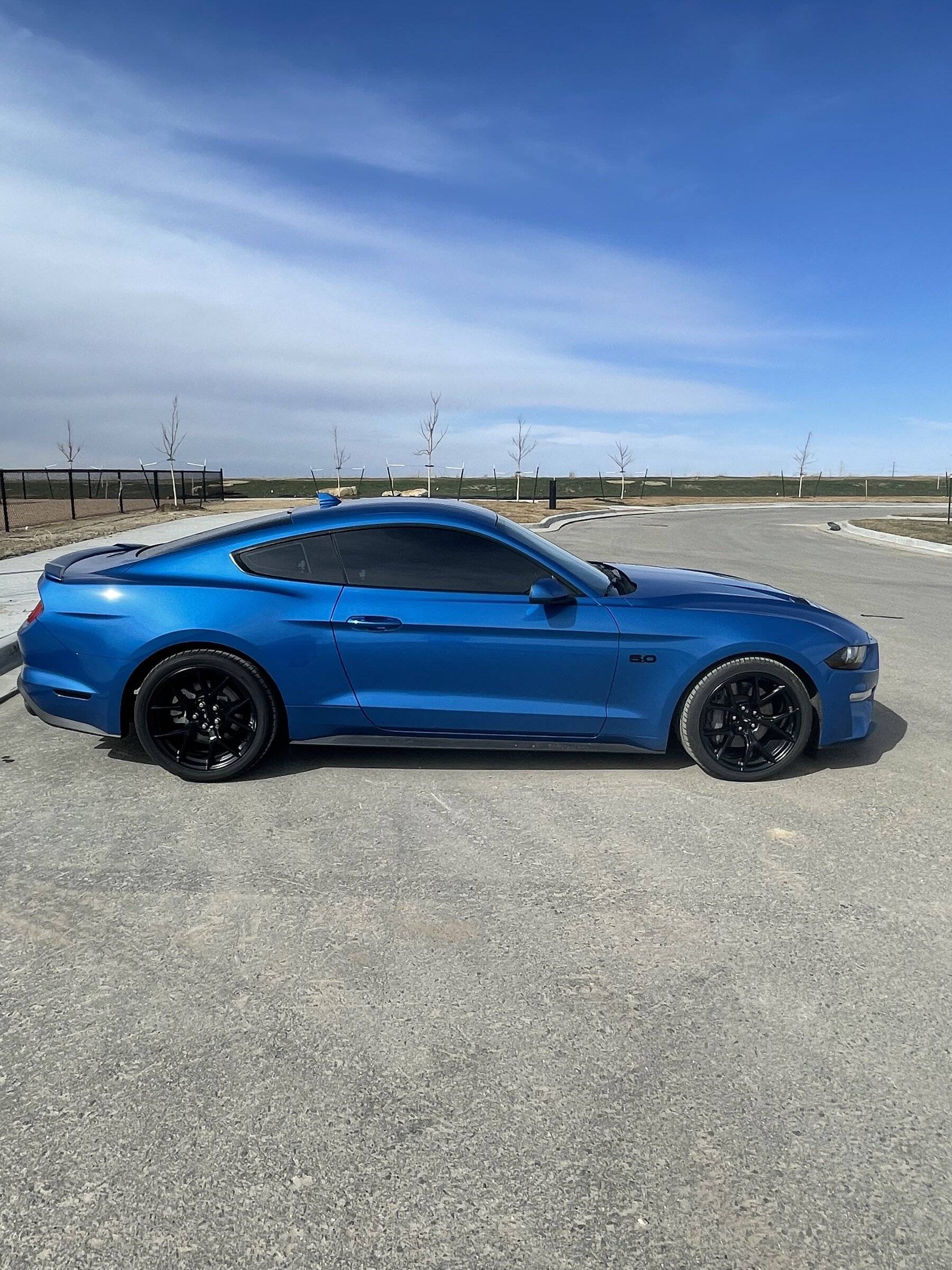 Colorado - 2020 Velocity Blue Mustang GT A10 Price Drop!! | 2015+ S550 ...