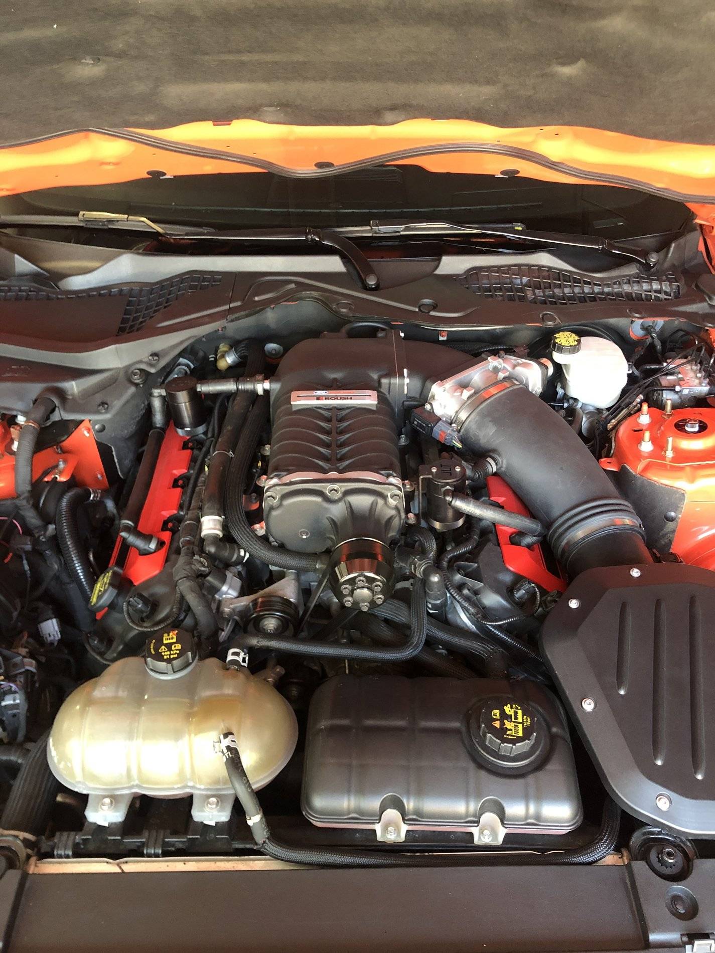 Oregon - 2015 Roush Stage 3 727HP | 2015+ S550 Mustang Forum (GT ...