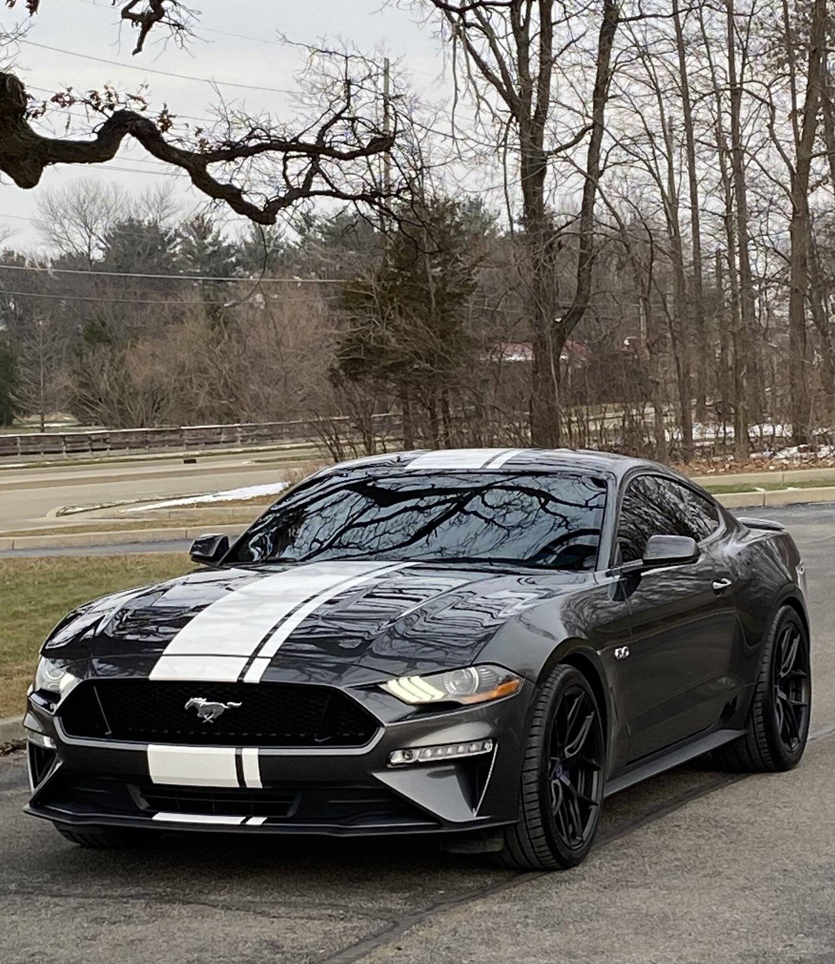 will my 315/35/20's fit? | Page 3 | 2015+ S550 Mustang Forum (GT ...