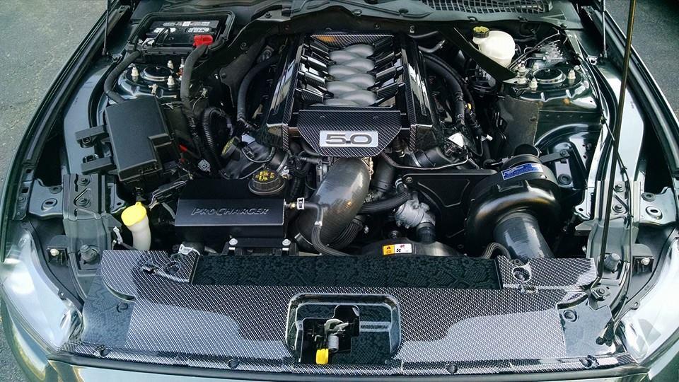 Hydrodipped engine covers | 2015+ S550 Mustang Forum (GT, EcoBoost ...