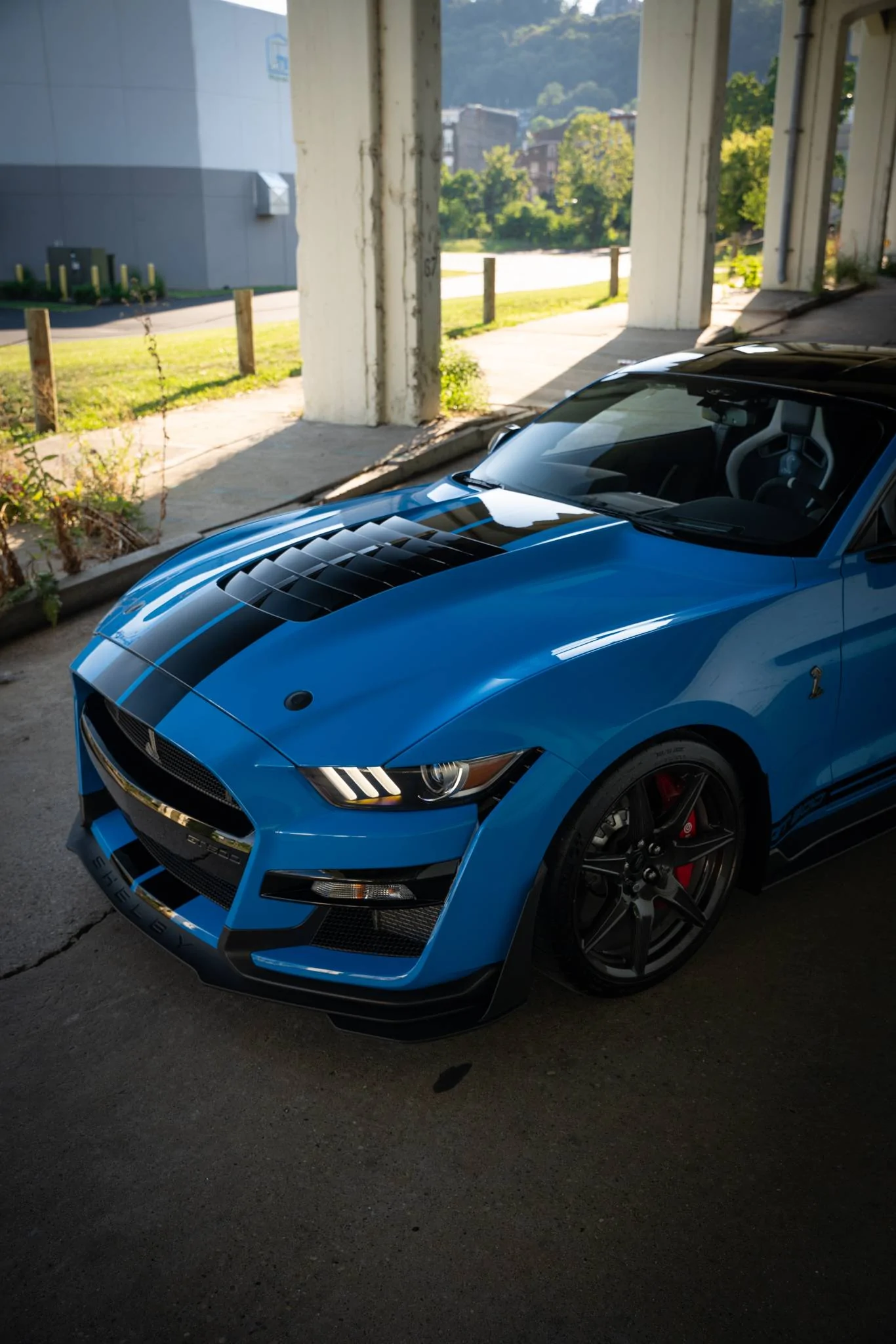Ohio - 2022 GRABBER BLUE GT500 CFTP MINT CONDITION | 2015+ S550 Mustang ...