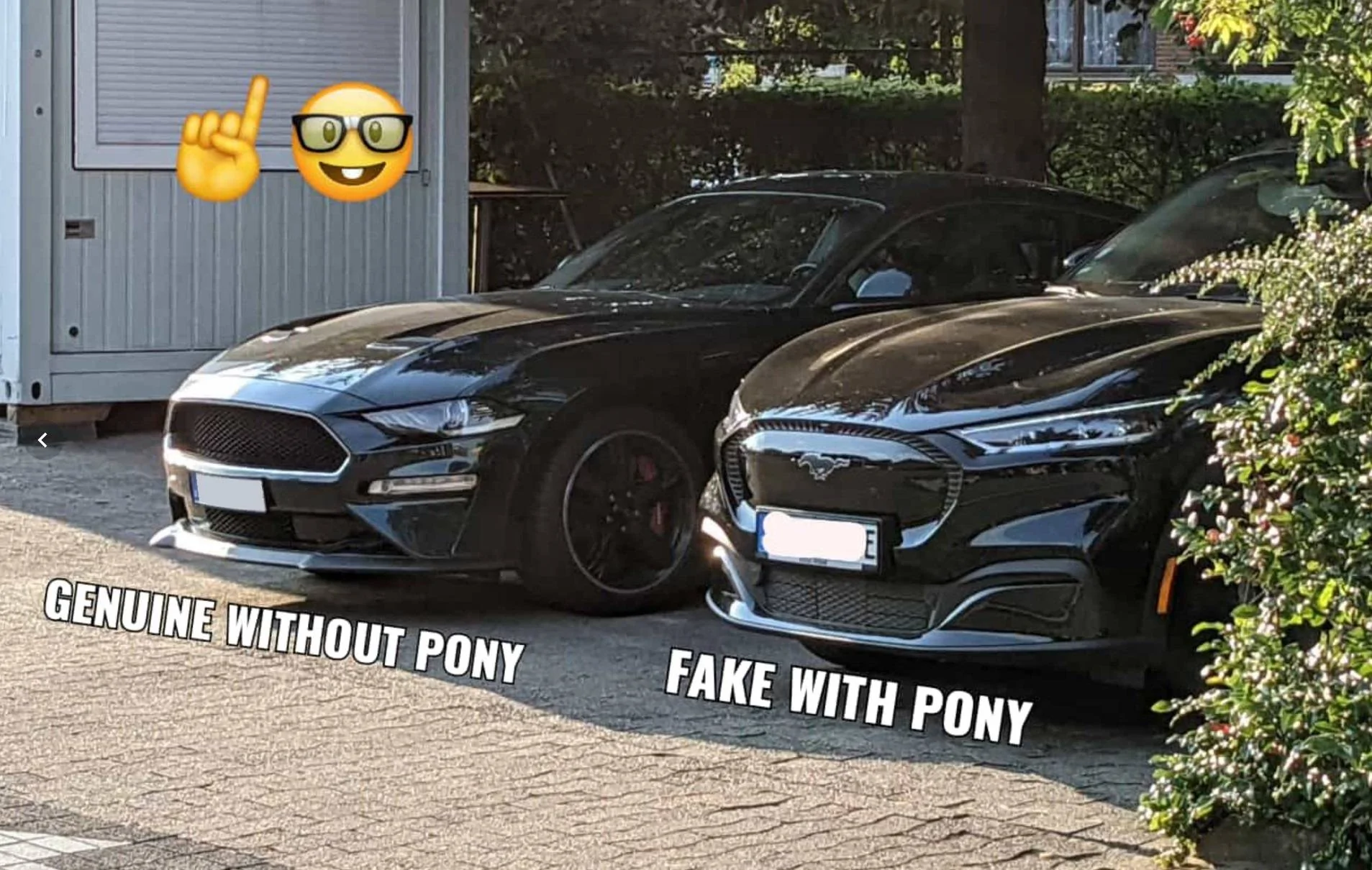 The REAL Mustang | Page 2 | 2015+ S550 Mustang Forum (GT, EcoBoost ...