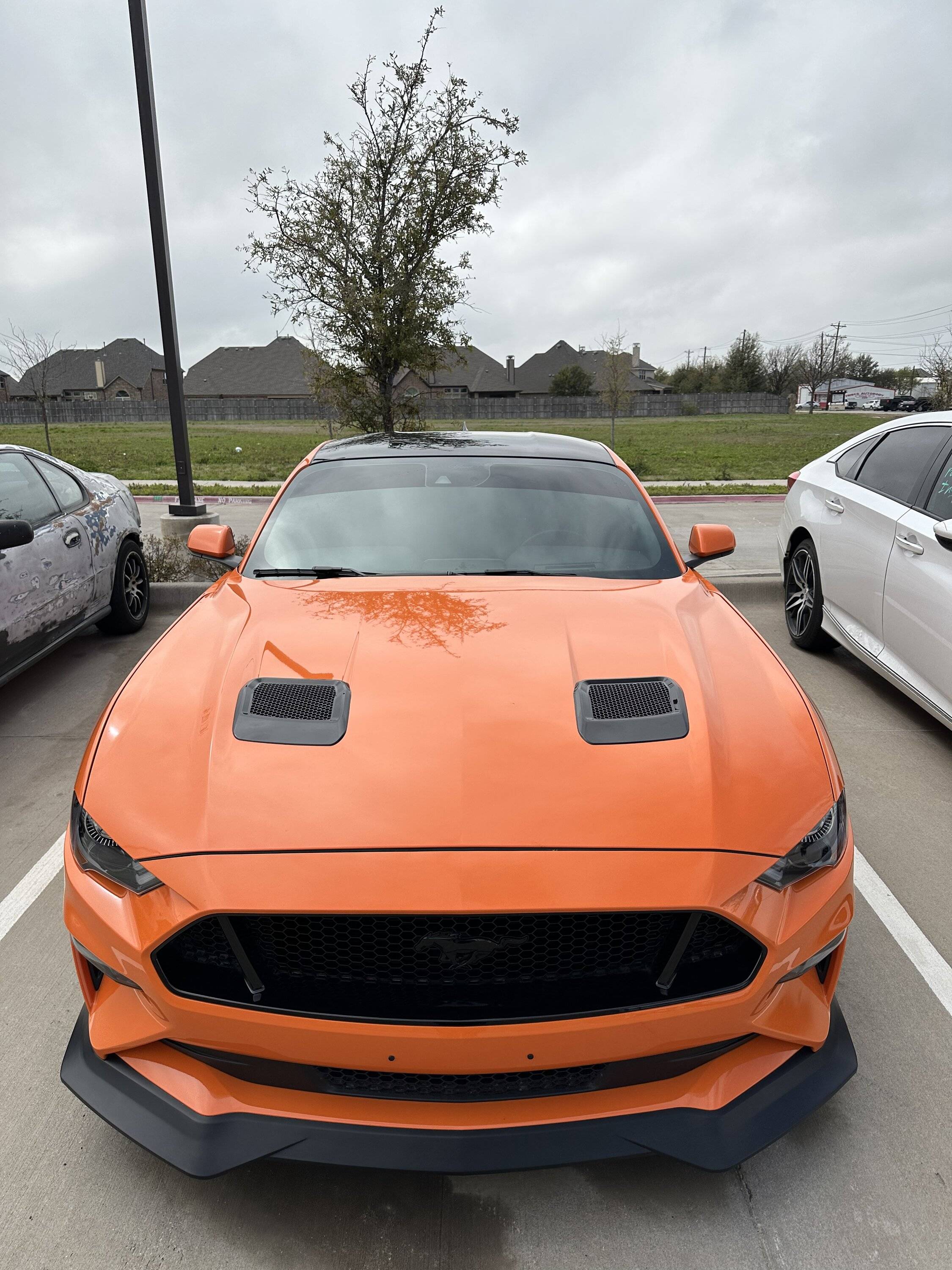 S550 vinyl windshield banner/visor | 2015+ S550 Mustang Forum (GT ...