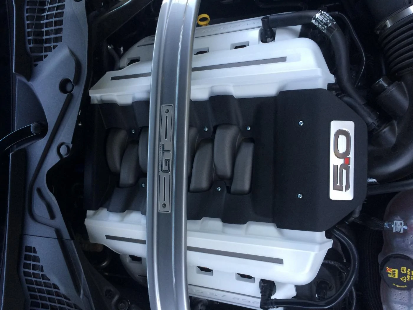 Engine and valve covers painted | 2015+ S550 Mustang Forum (GT ...