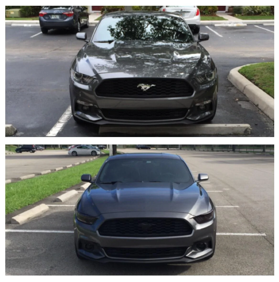 Plastidip and light tint film | 2015+ S550 Mustang Forum (GT, EcoBoost ...