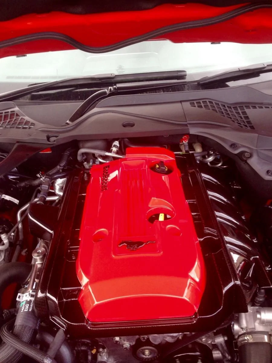 Carbon & Red Ecoboost engine cover fitted | 2015+ S550 Mustang Forum ...