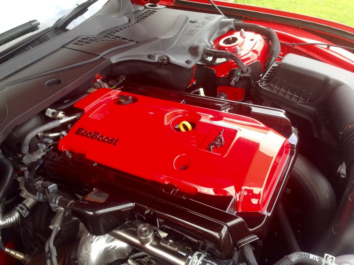 Carbon & Red Ecoboost engine cover fitted | 2015+ S550 Mustang Forum ...