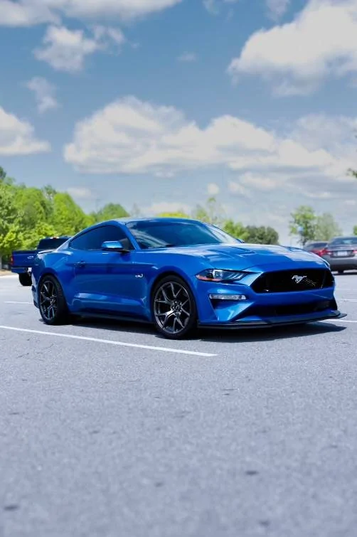 North Carolina - SOLD: 2019 PP2 Mustang GT | 2015+ S550 Mustang Forum ...