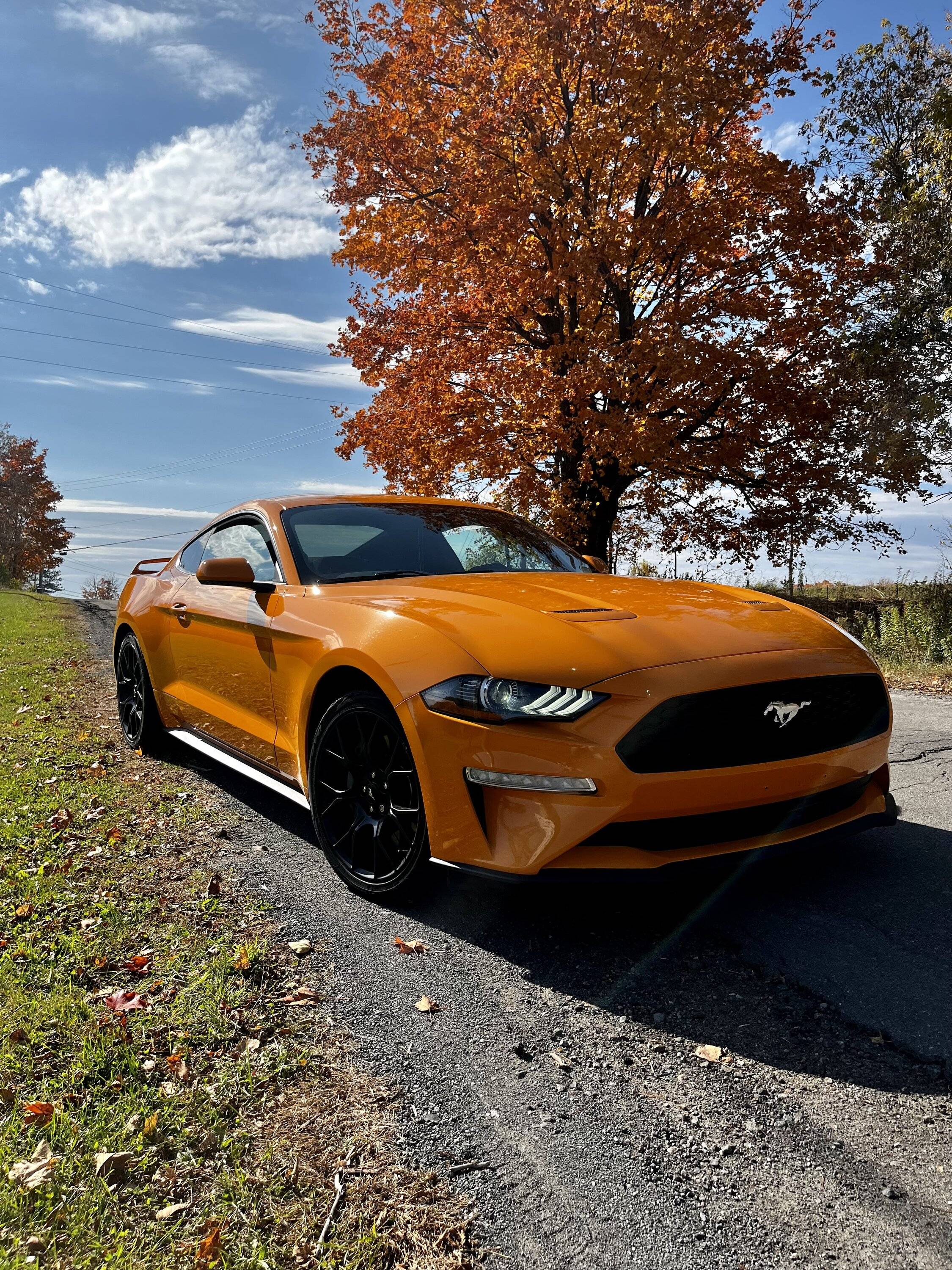 ORANGE FURY S550 MUSTANG Thread | Page 34 | 2015+ S550 Mustang Forum ...