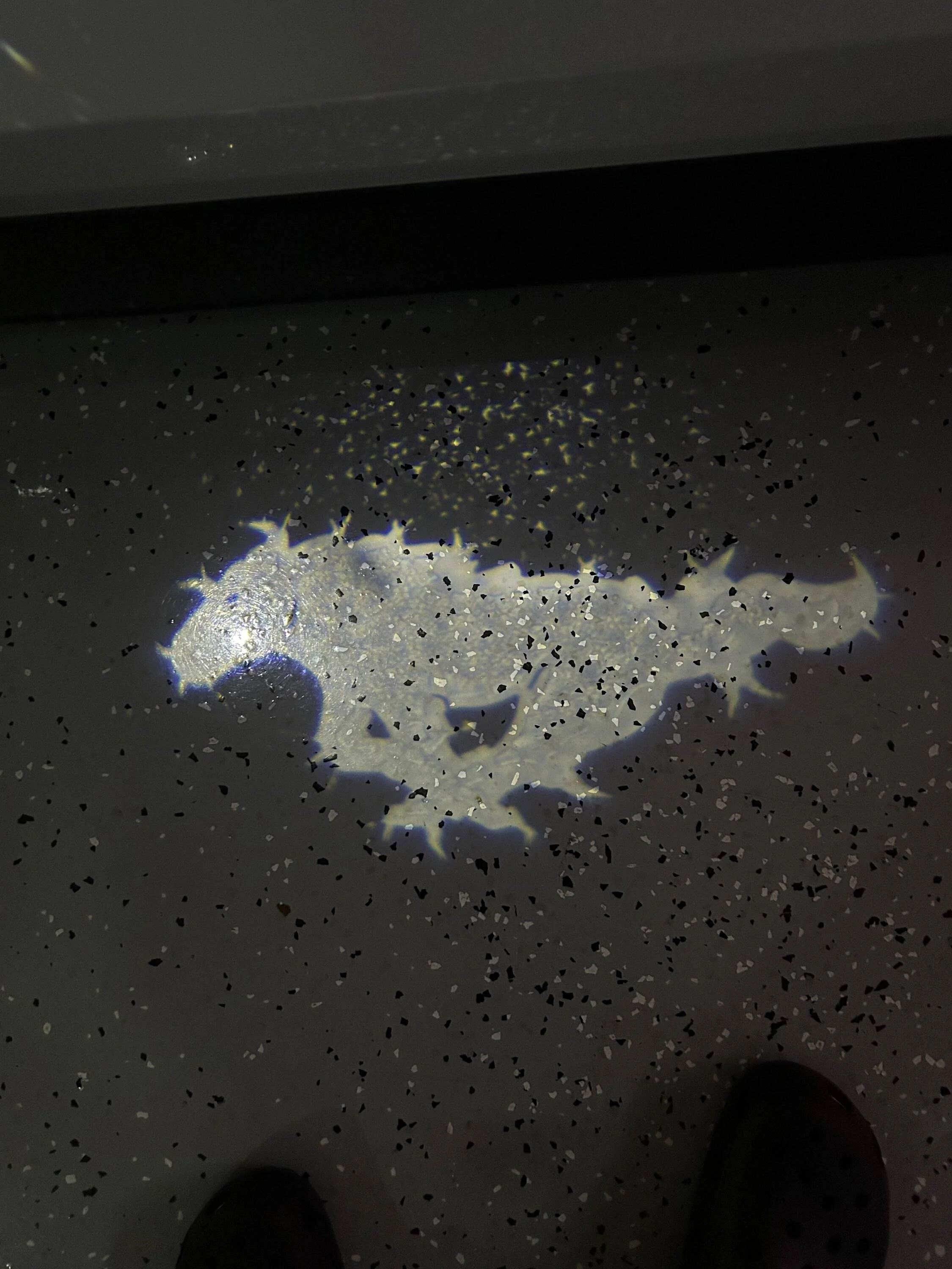 Who Else Has A Prickly Puddle Light? | 2015+ S550 Mustang Forum (GT ...