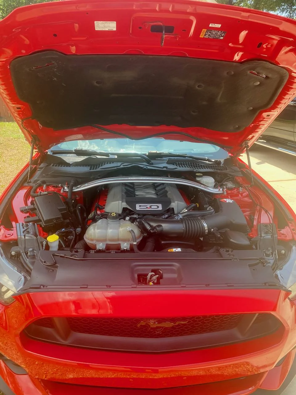 Florida - 2017 GT Premium Manual Performance Pack | 2015+ S550 Mustang ...