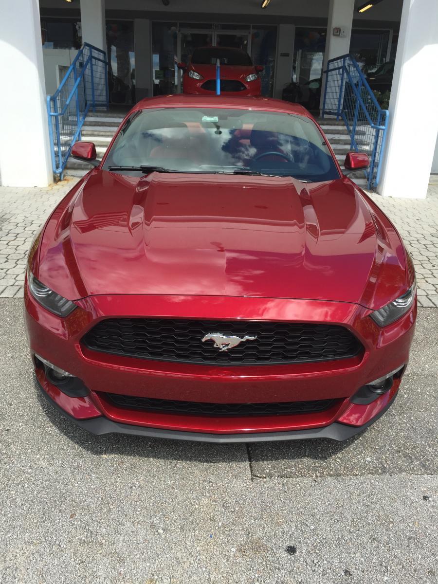 Race or Ruby Red Ecoboost w/Redline at Wayne Akers Ford | 2015+ S550 ...