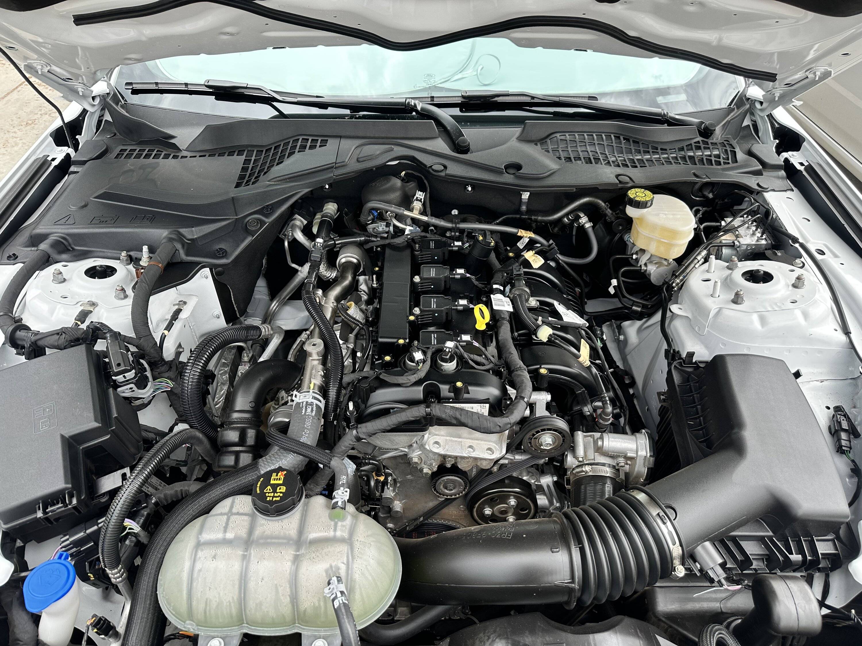 Are Engine Covers Standard? (2023 Fastback EcoBoost Premium) | 2015 ...