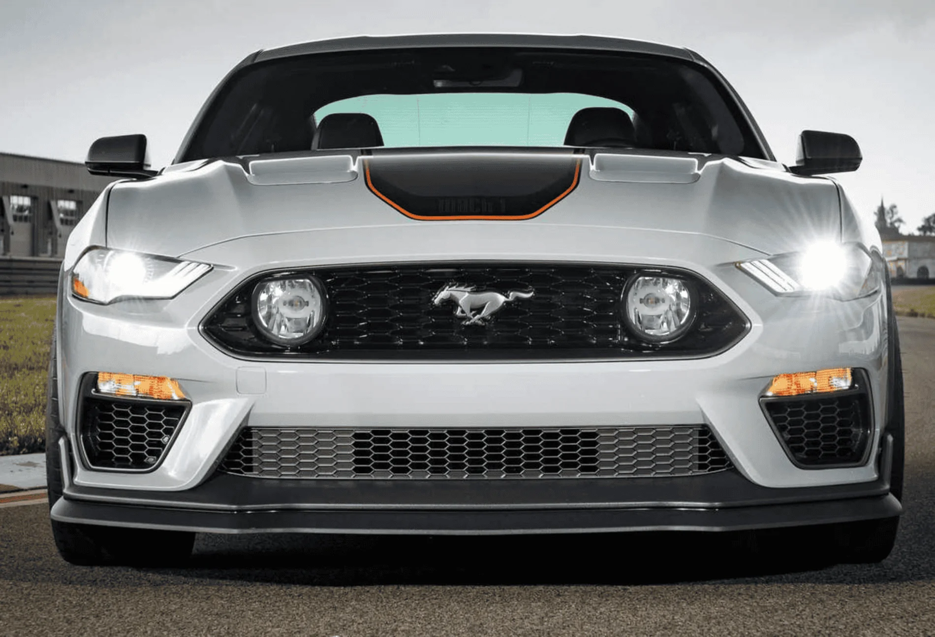 New Zealand Ordered Mach 1 | 2015+ S550 Mustang Forum (GT, EcoBoost ...