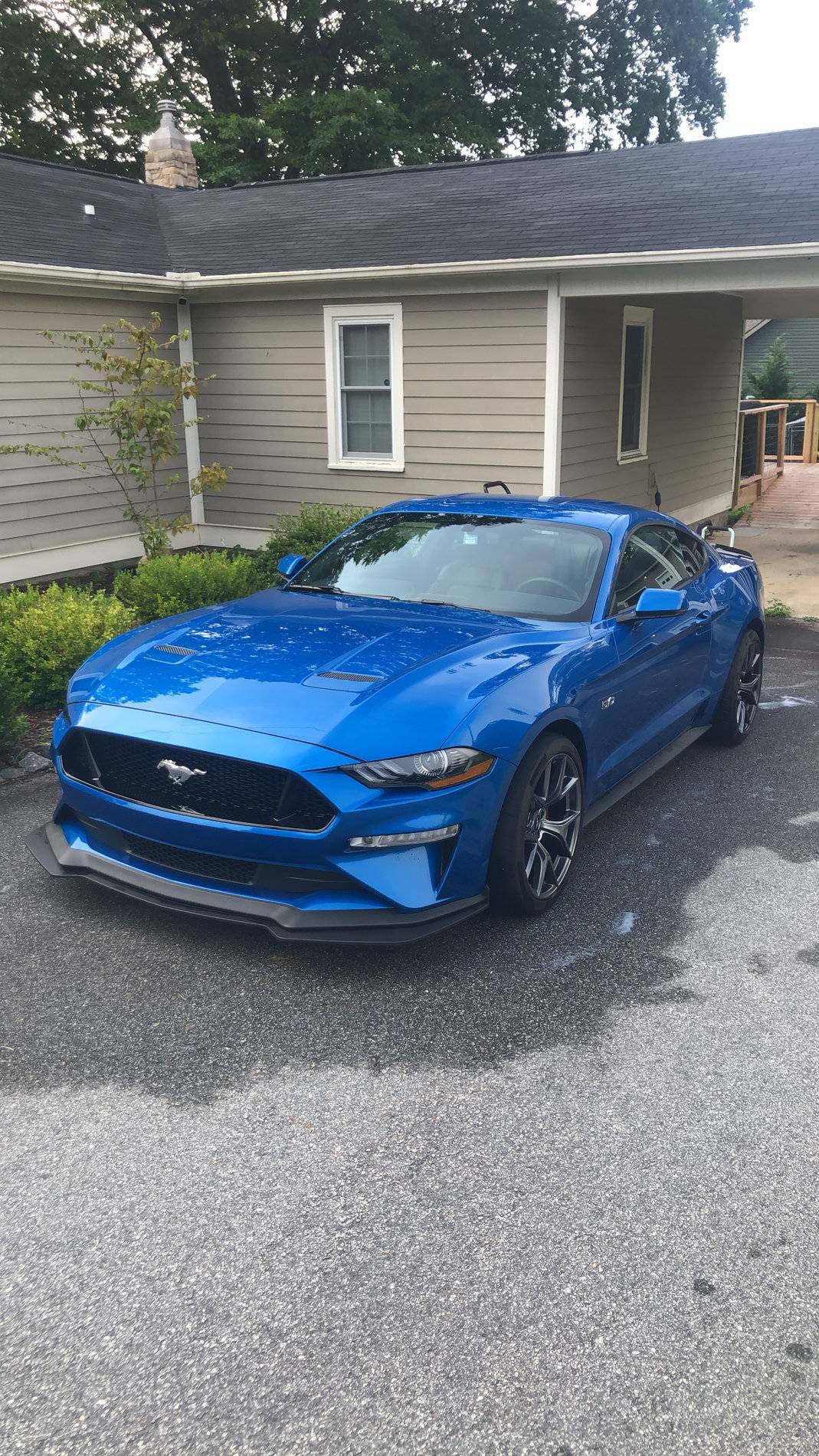 PP2 real life pictures | Page 83 | 2015+ S550 Mustang Forum (GT ...