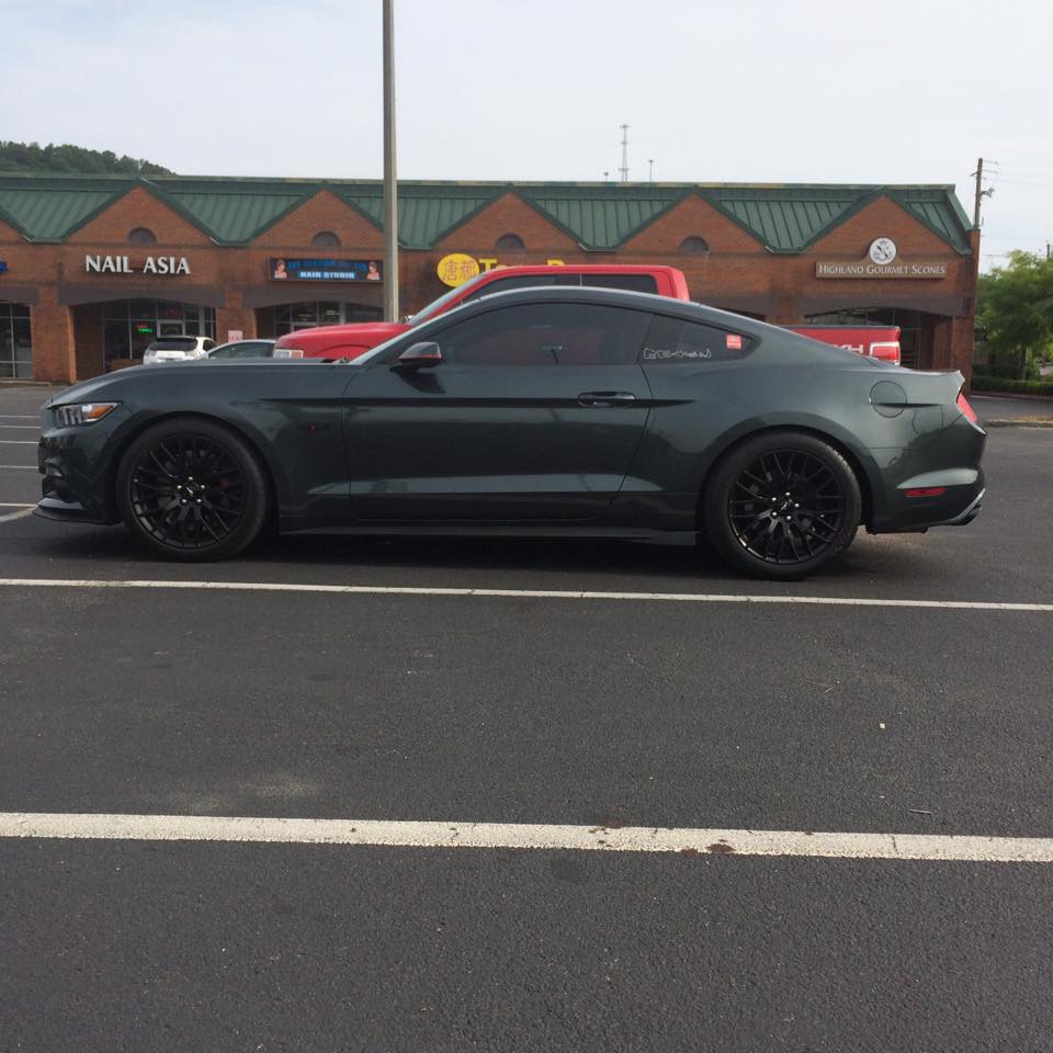 Opinions welcome...Roush Quarter window scoops | 2015+ S550 Mustang ...