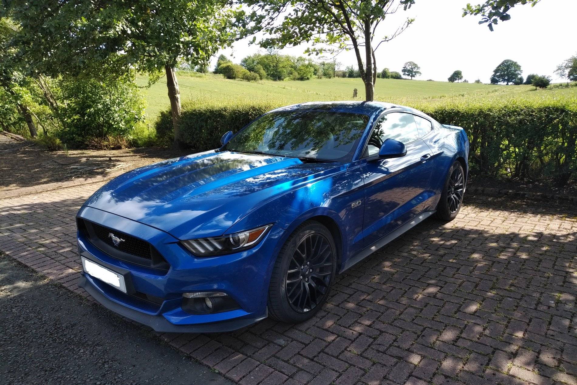 lightning blue stripes | 2015+ S550 Mustang Forum (GT, EcoBoost, GT350 ...