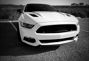 Stormtrooper GT | 2015+ S550 Mustang Forum (GT, EcoBoost, GT350, GT500 ...