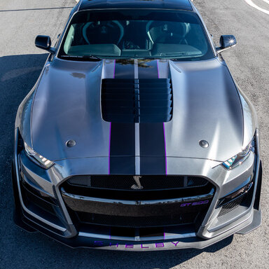 GT500 rear deck lid trim panel | 2015+ S550 Mustang Forum (GT, EcoBoost ...