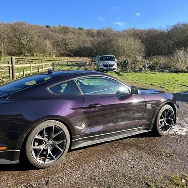 Rear Sub Frame Torque Settings | 2015+ S550 Mustang Forum (GT, EcoBoost ...