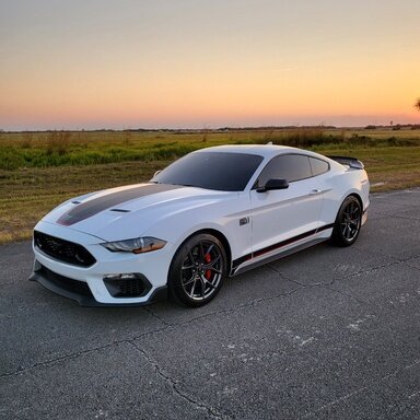 2021 Mach 1 PDI Checklist, HP Splitter Part Number, Wheel Lip Molding ...