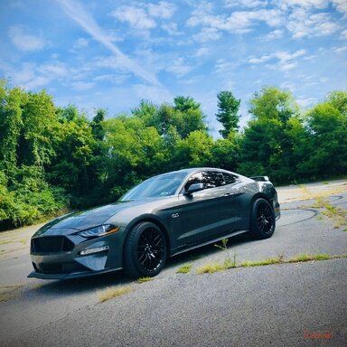 Sequential shifter for mt82 d4? | 2015+ S550 Mustang Forum (GT ...