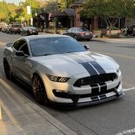 GT - Ford Performance Lowering Springs (GT350/GT350R/GT 2018-2020 with ...