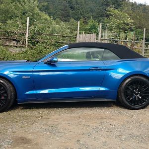 Elektra | 2015+ S550 Mustang Forum (GT, EcoBoost, GT350, GT500, Bullitt ...