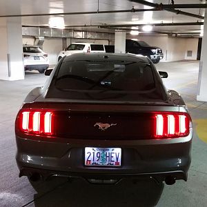 Tint 15% rear window | 2015+ S550 Mustang Forum (GT, EcoBoost, GT350 ...
