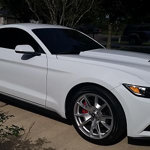 Roush quarter window scoop, quarter panel scoop and rocker winglets ...