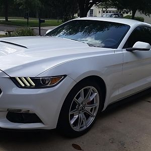 Roush quarter window scoop, quarter panel scoop and rocker winglets ...