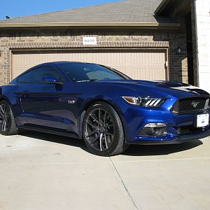 M6G 01 | 2015+ S550 Mustang Forum (GT, EcoBoost, GT350, GT500, Bullitt ...