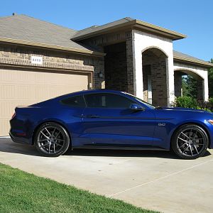 M6G 04 | 2015+ S550 Mustang Forum (GT, EcoBoost, GT350, GT500, Bullitt ...