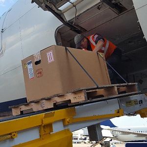 up the belt loader | 2015+ S550 Mustang Forum (GT, EcoBoost, GT350 ...