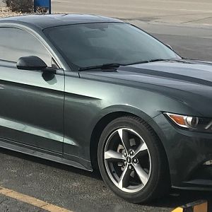 Clean | 2015+ S550 Mustang Forum (GT, EcoBoost, GT350, GT500, Bullitt ...