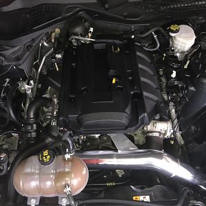 ENGINE BAY | 2015+ S550 Mustang Forum (GT, EcoBoost, GT350, GT500 ...