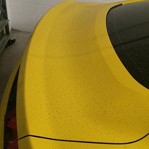 Yellow gets really dirty really fast! | 2015+ S550 Mustang Forum (GT ...