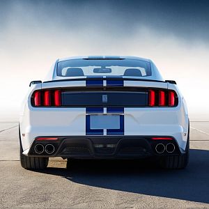 2016 Ford Shelby GT350 Mustang rear end 022 | 2015+ S550 Mustang Forum ...