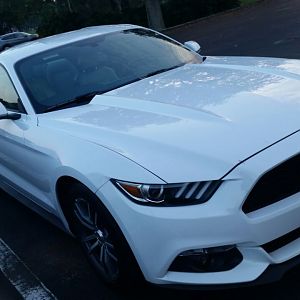 EB 2015 | 2015+ S550 Mustang Forum (GT, EcoBoost, GT350, GT500, Bullitt ...