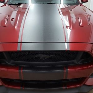 Big Worm Super Snake front view | 2015+ S550 Mustang Forum (GT ...